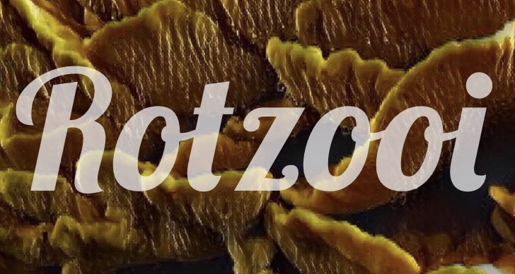 Rotzooi – Waarloopjijwarmvoor
