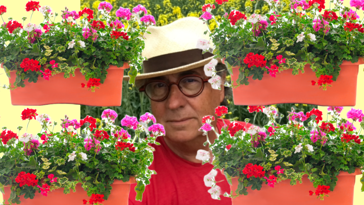 Toch nog achter de geraniums? – Waarloopjijwarmvoor